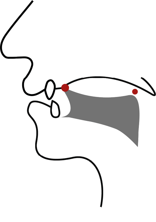 INTERACTIVE IPA CHART 22